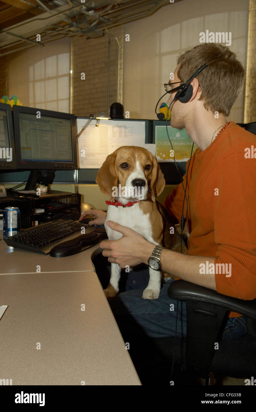 Man beagle hi-res stock photography and images - Alamy