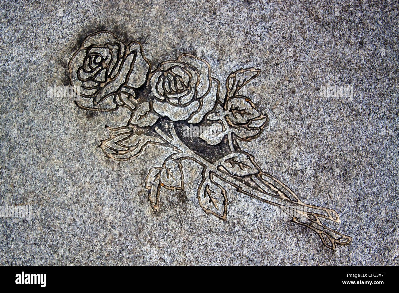 A rose on a granite headstone at Oak Hill Cemetery located in ...