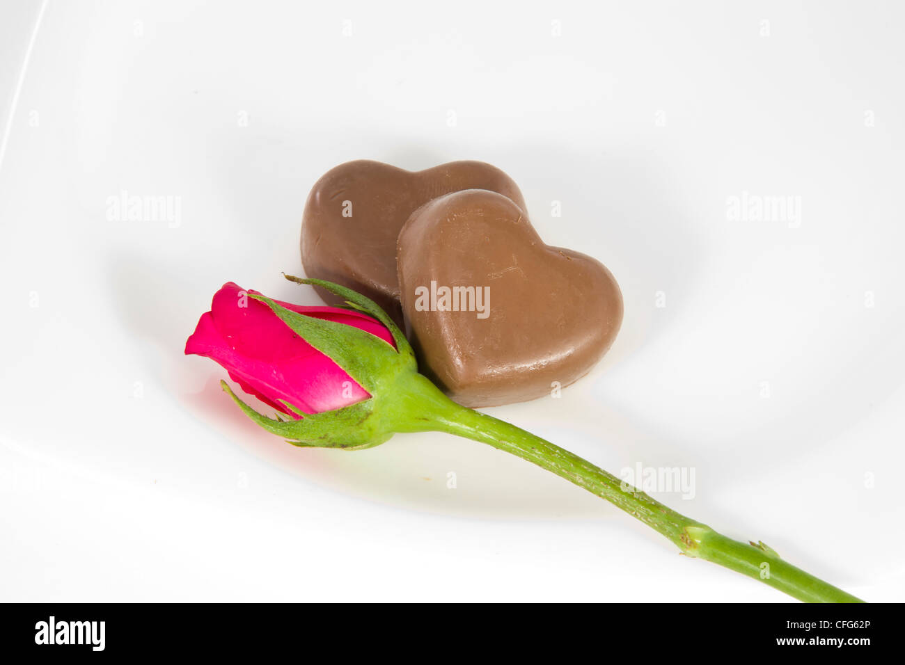 Chocolate heart and rose in the Valentine's Day, white background Stock ...
