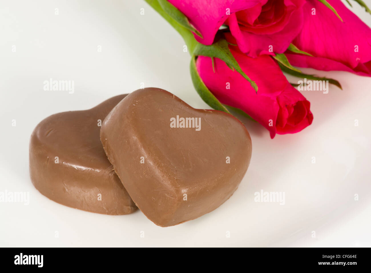 Chocolate heart and rose in the Valentine's Day, white background Stock ...