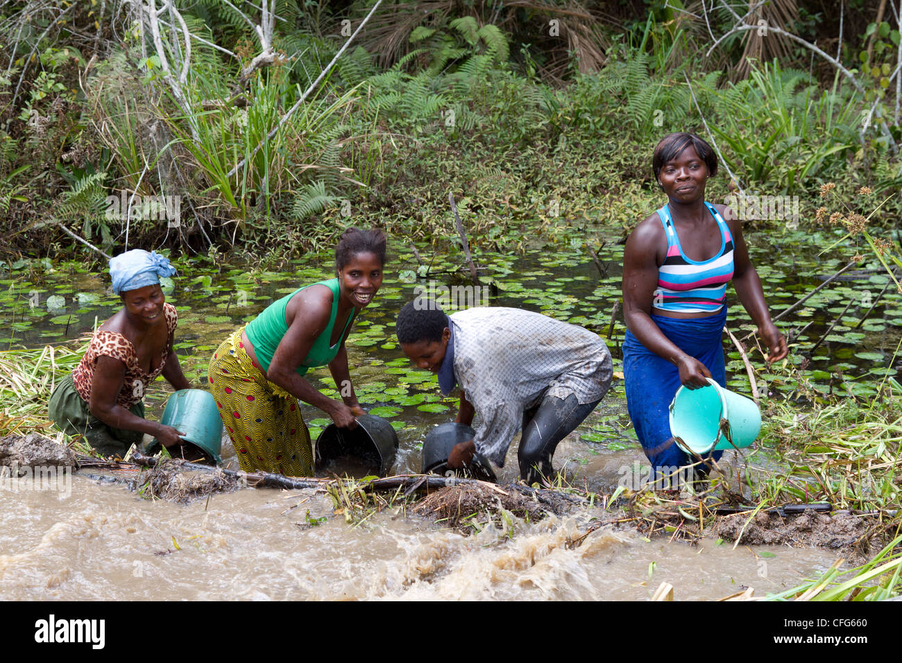 Traditional fishing near Dukoue,Ivory Coast ,Cote d'Ivoire,West Africa ...