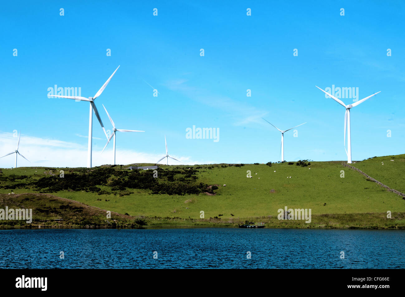 Busbie hi-res stock photography and images - Alamy