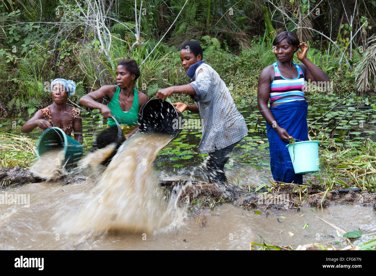 Traditional fishing near Dukoue,Ivory Coast ,Cote d'Ivoire,West Africa ...