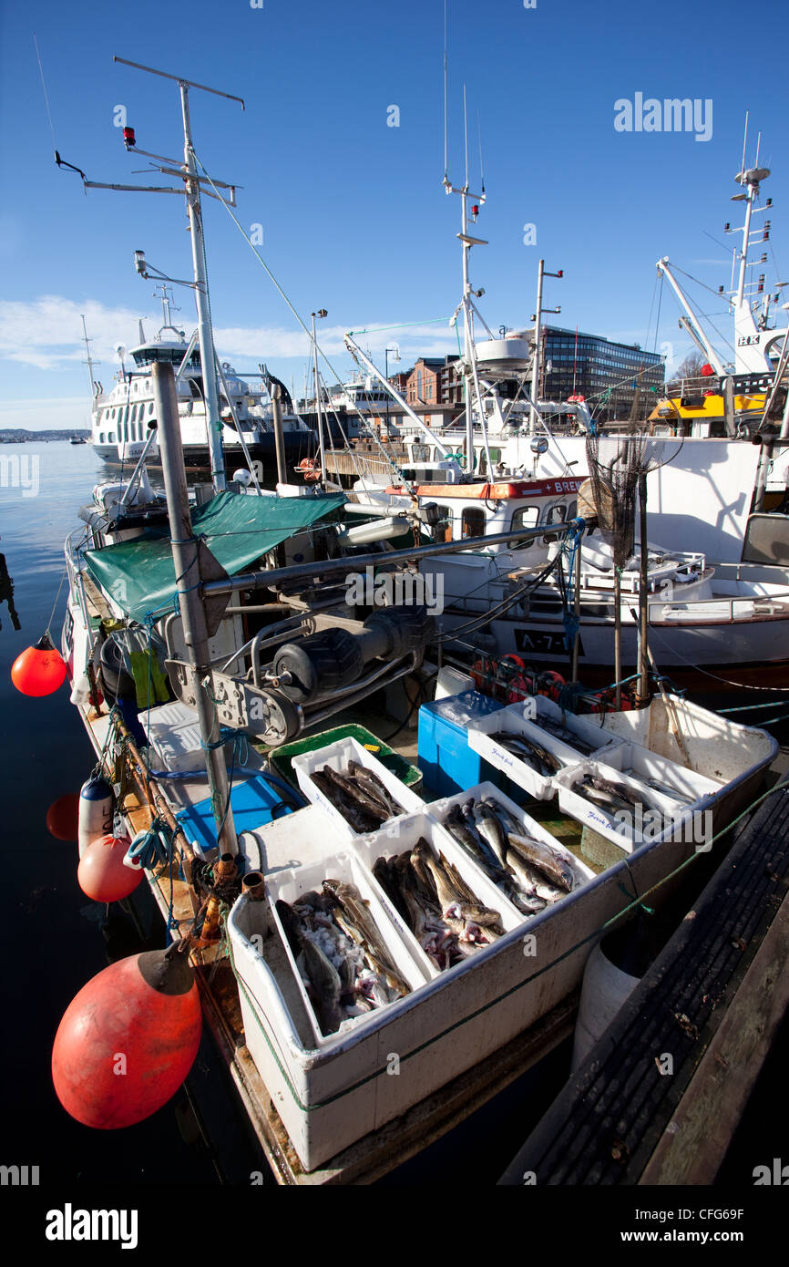 Fishing boats moored selling fish at Rådhusplassen, Oslo Harbour, Oslo ...