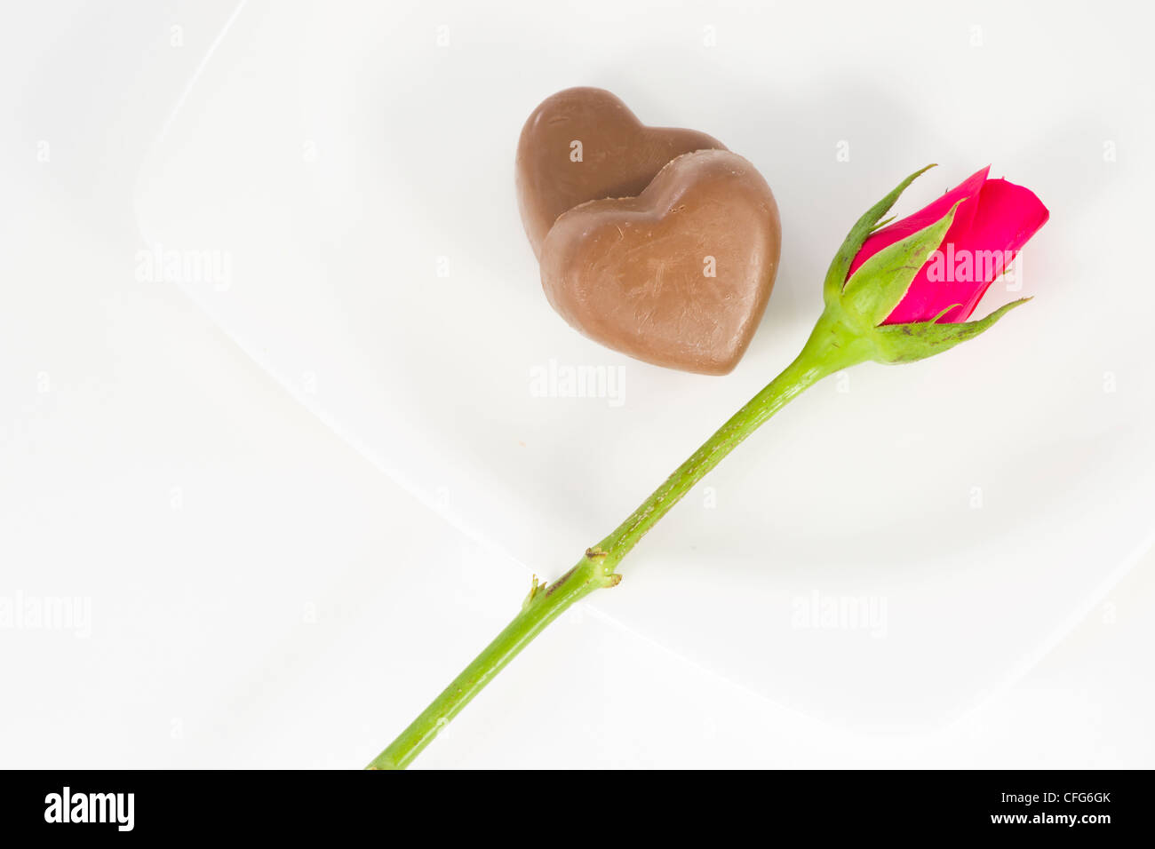 Chocolate heart and rose in the Valentine's Day, white background Stock ...
