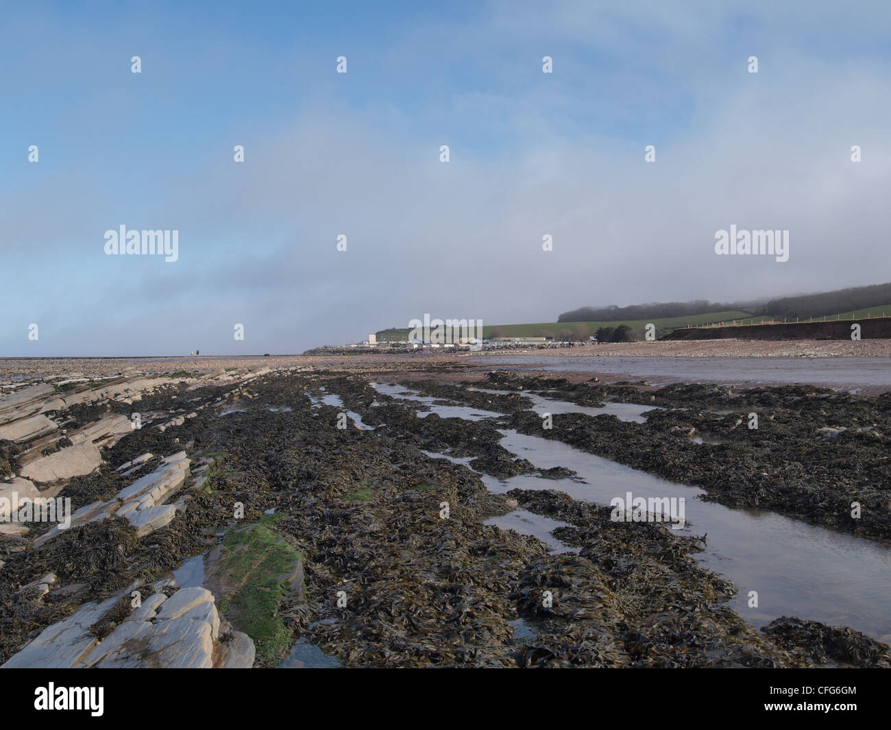 Doniford Bay. An area renown for fossils. Somerset. Bristol Channel. UK ...