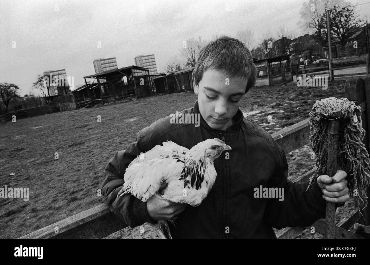 London animal farm Black and White Stock Photos & Images - Alamy