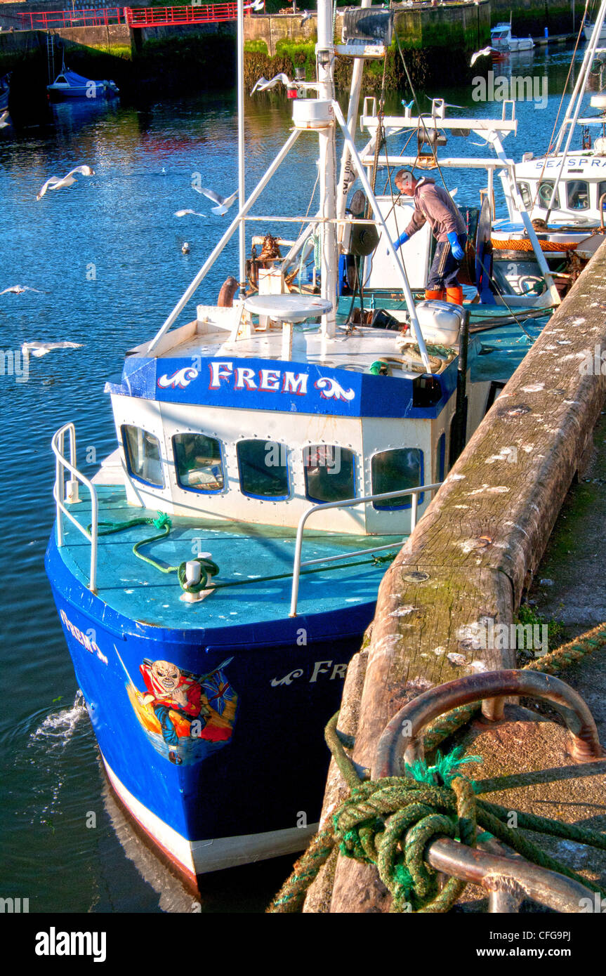 eyemouth scotland fishing boat unloading the catch Stock Photo - Alamy