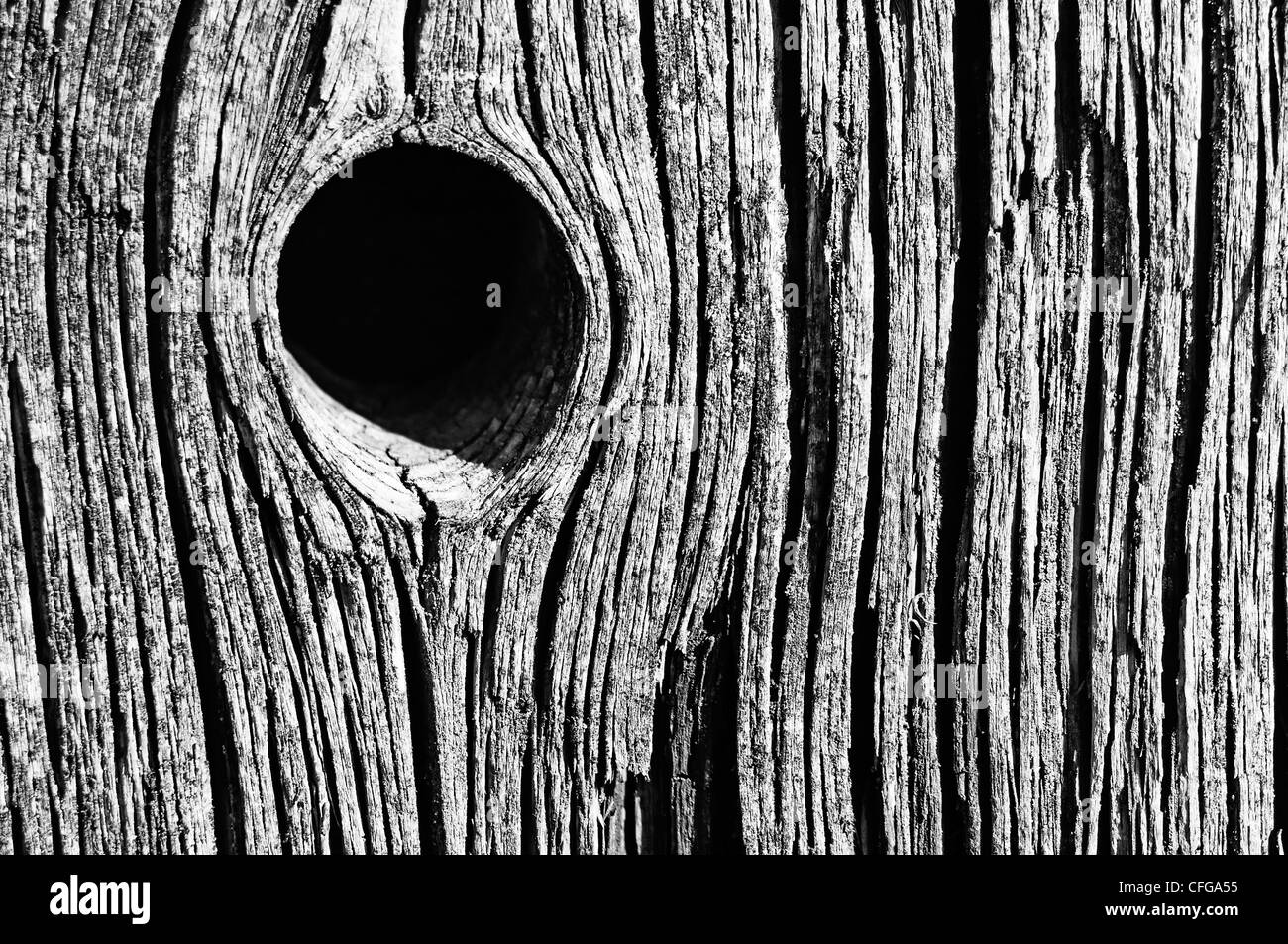 Rotten knothole hi-res stock photography and images - Alamy