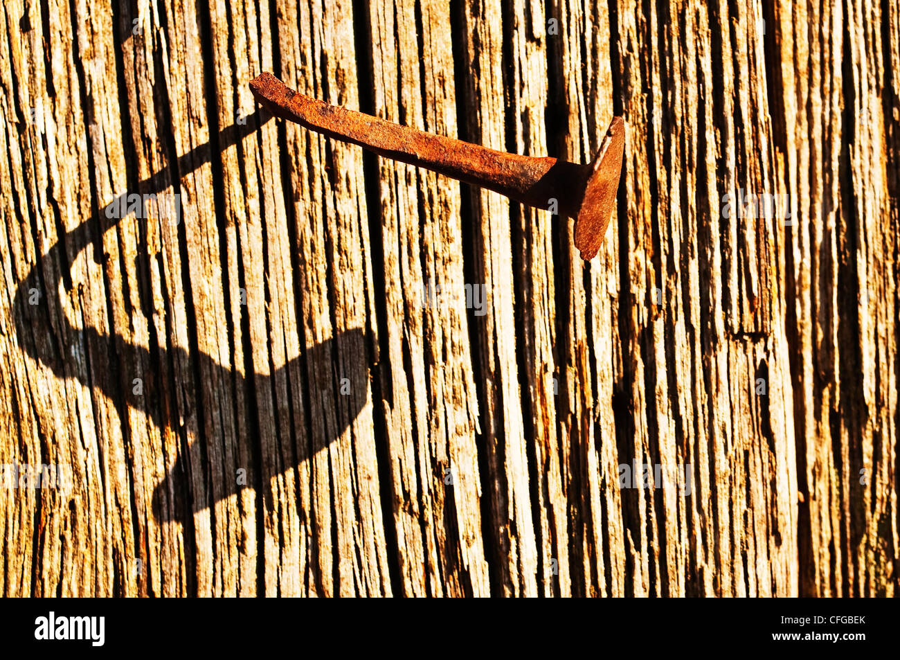 Curved nail hi-res stock photography and images - Alamy