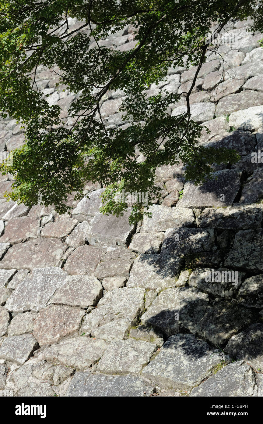 Stone wall shadow cast on hi-res stock photography and images - Alamy