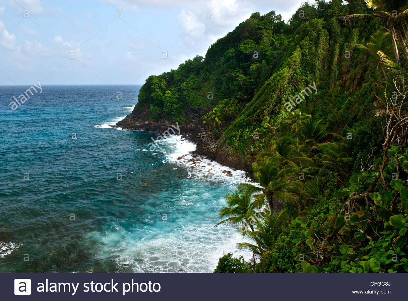 Carib Indians Stock Photos & Carib Indians Stock Images - Alamy