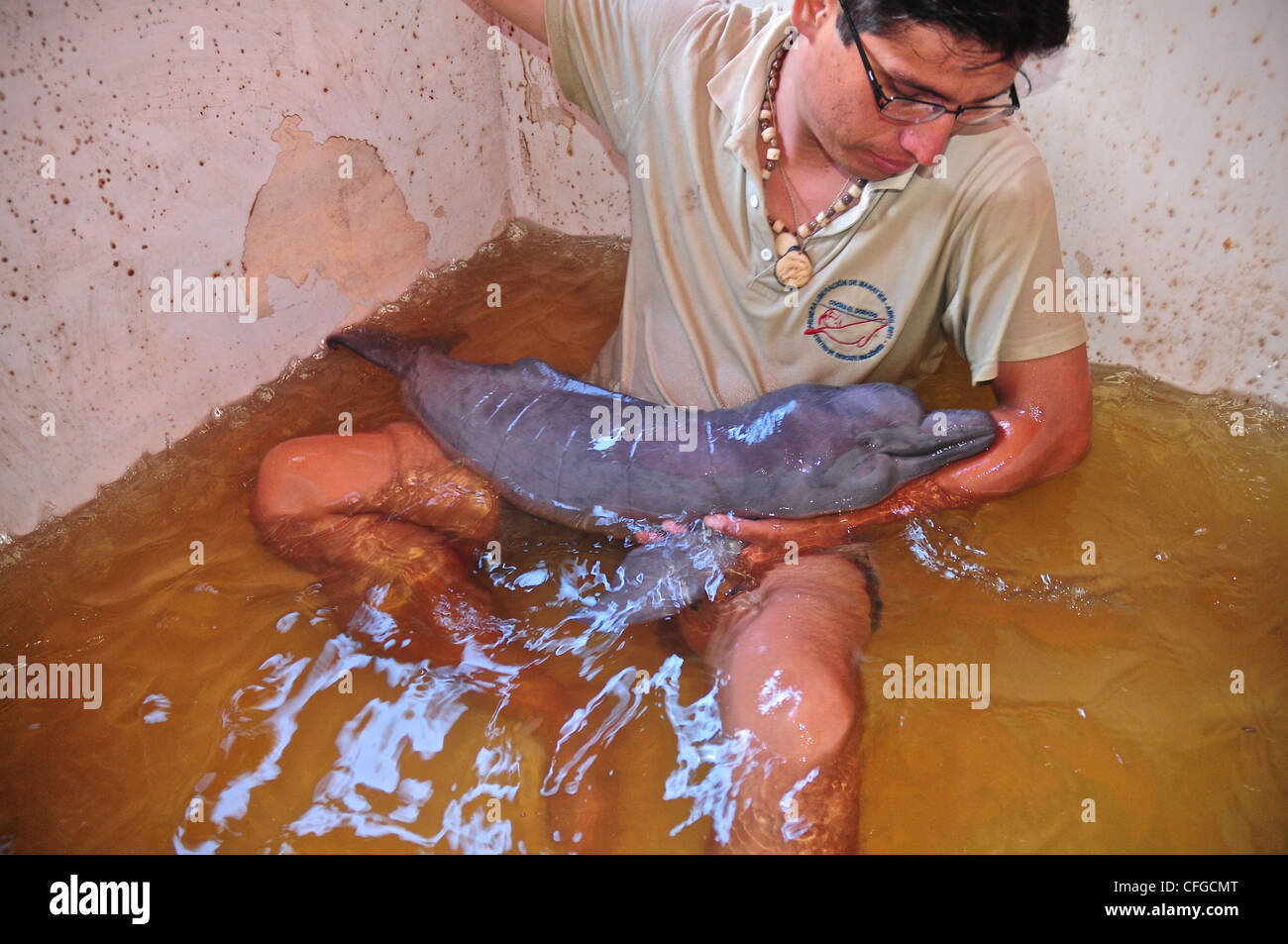 Rescue of a dying, poached baby pink river dolphin Stock Photo - Alamy