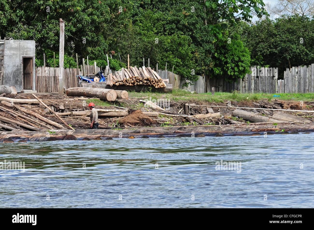 Logging in the Amazon Basin Stock Photo - Alamy