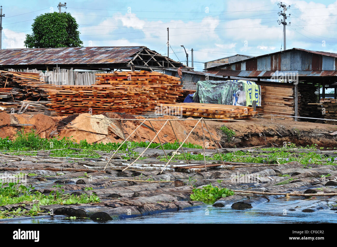 Logging in the Amazon Basin Stock Photo - Alamy