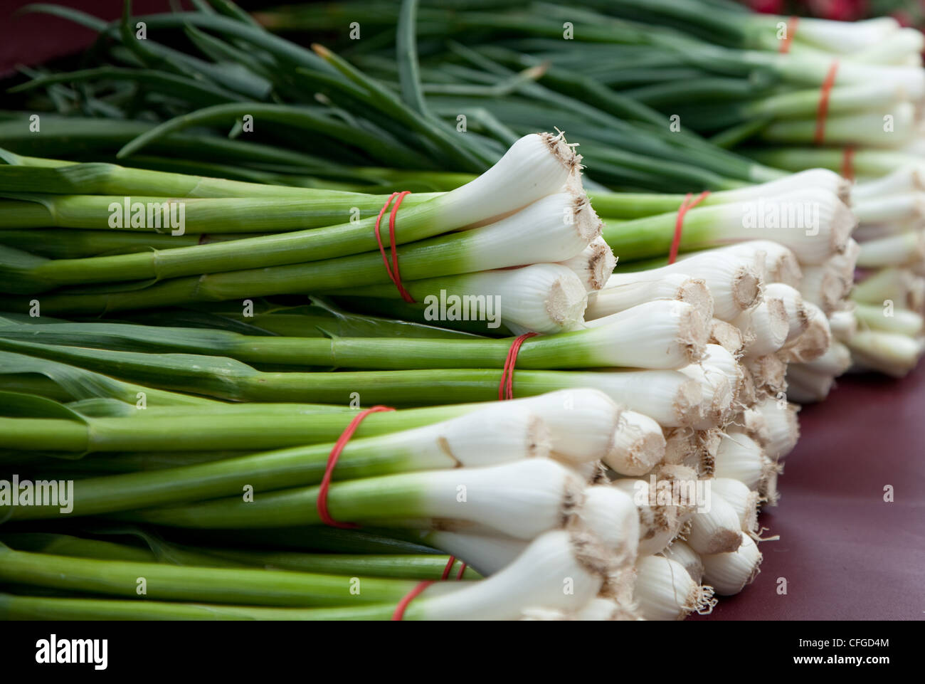 Bundles of green onions Stock Photo - Alamy