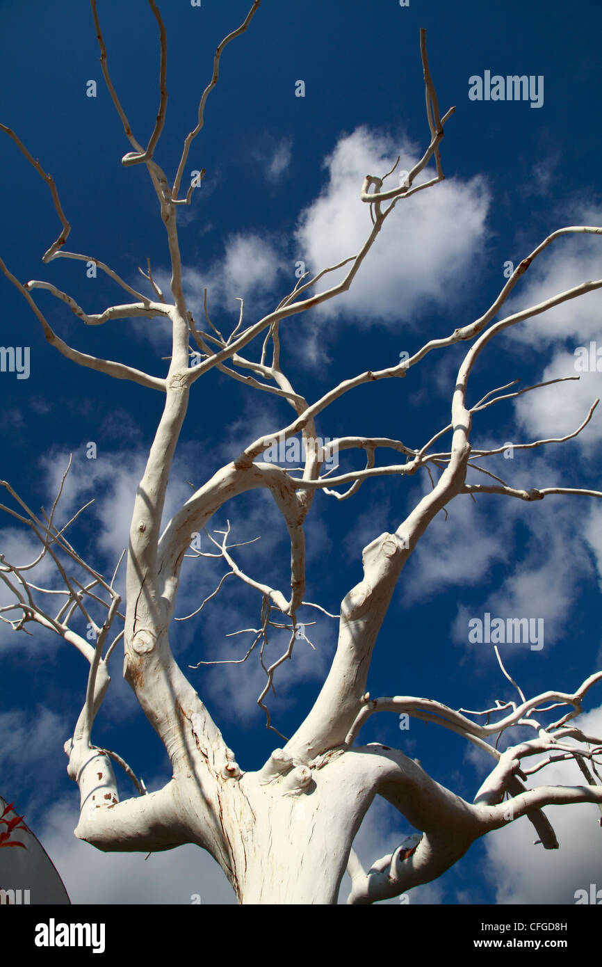 White painted tree against a blue sky Stock Photo - Alamy