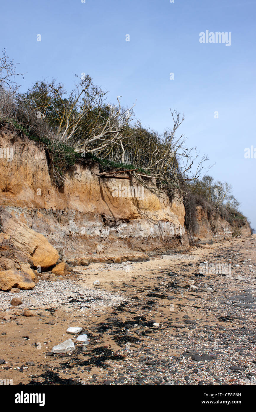 Naze cliffs hi-res stock photography and images - Alamy