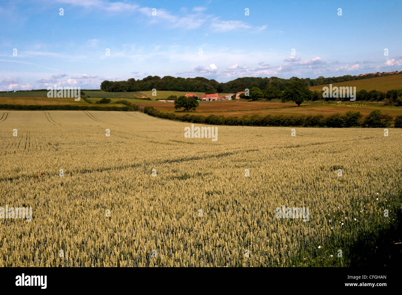 English countrside hi-res stock photography and images - Alamy