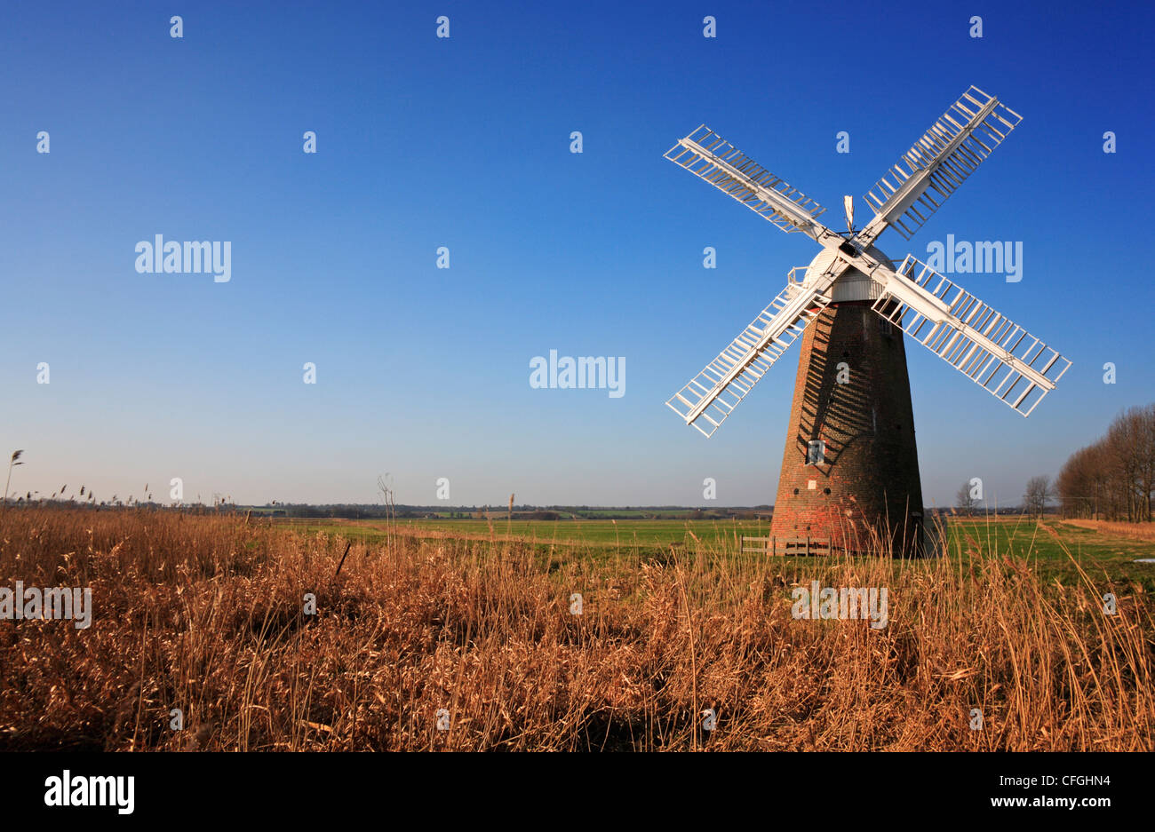 Hardley windmill hi-res stock photography and images - Alamy