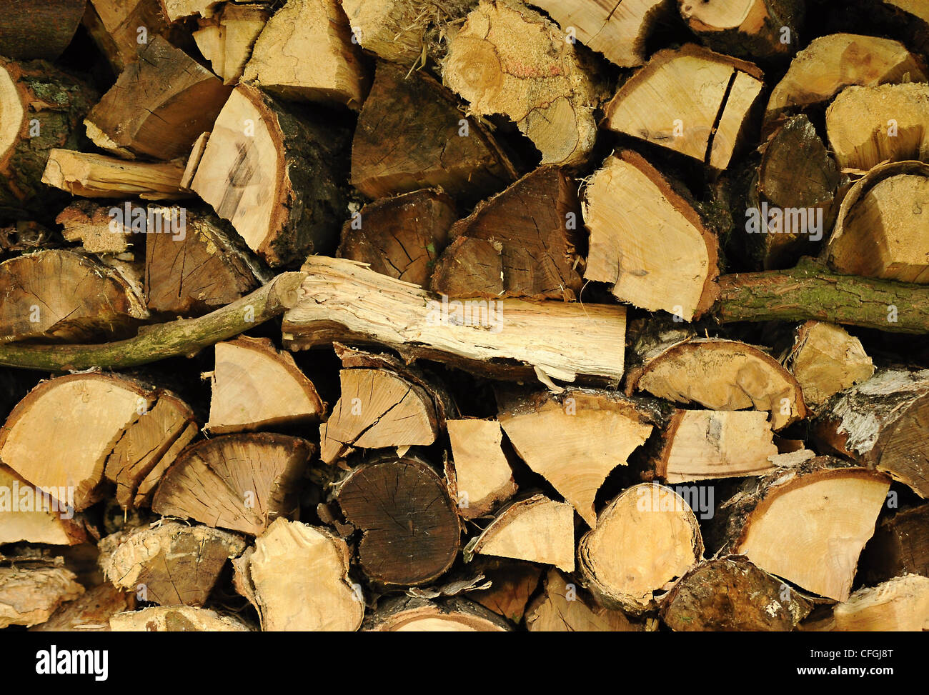 Stack of pile wood in woodhouse Stock Photo - Alamy