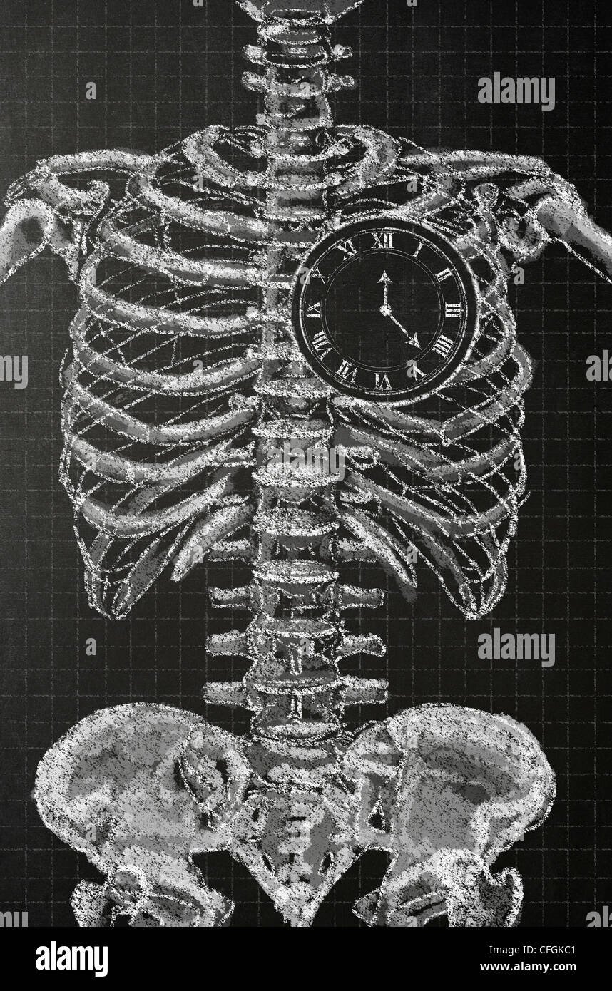 Chalk drawn skeleton torso with a clock in place of the heart Stock ...