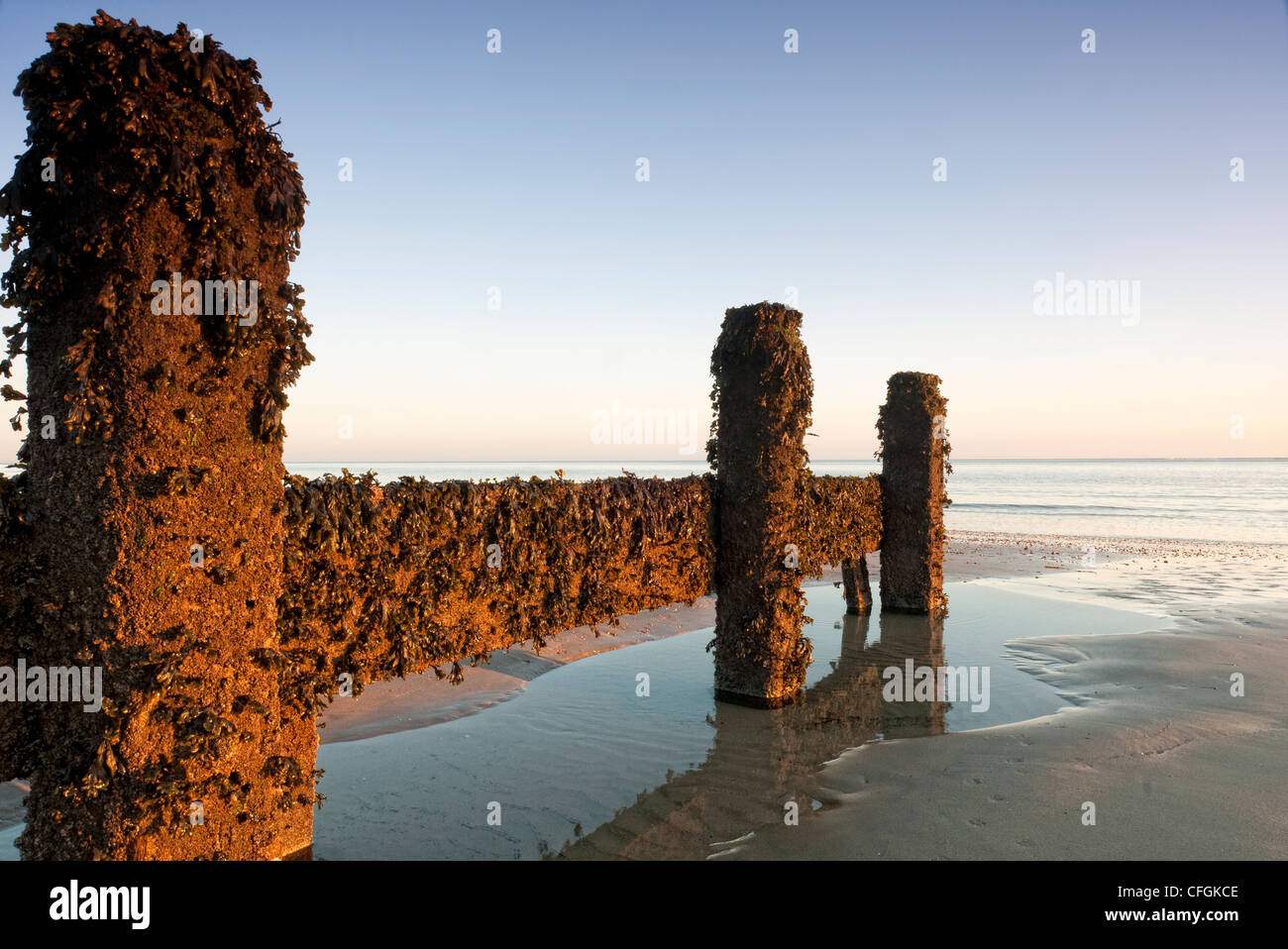 breakwater on the beach at Hayling Island Stock Photo - Alamy