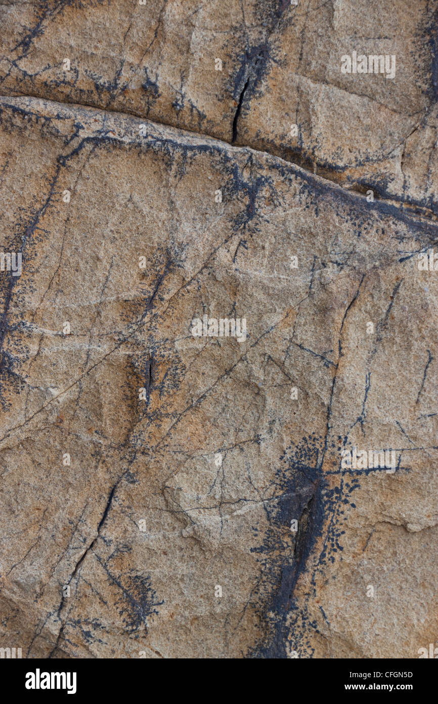 Stone texture close-up Stock Photo - Alamy