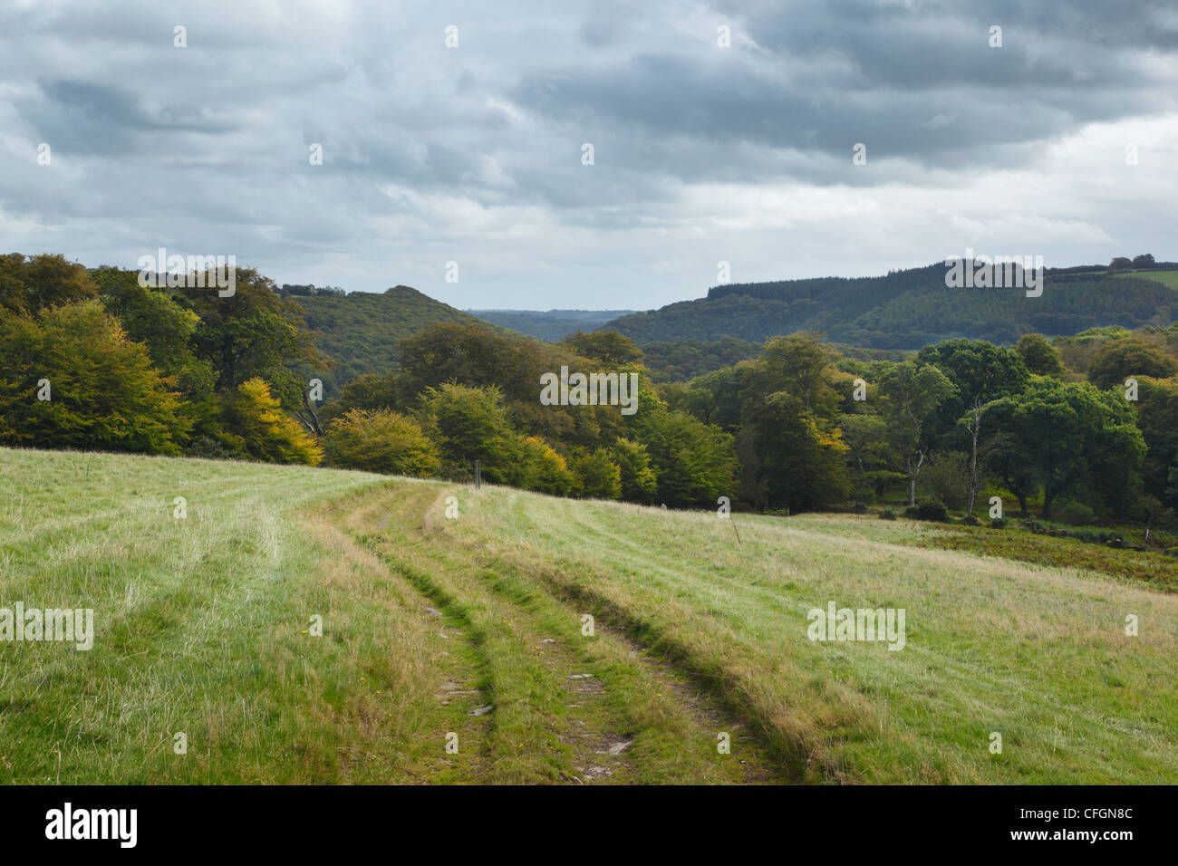 Exe Valley Way near Hawkridge. Exmoor National Park. Somerset. England ...