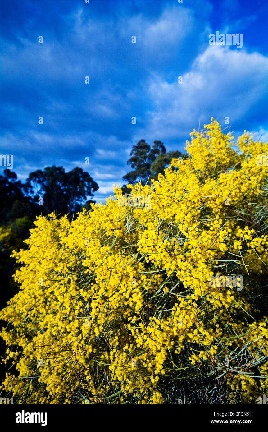 Retinues hi-res stock photography and images - Alamy