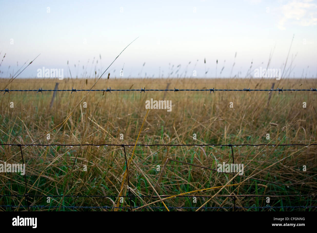 Winter dew drops and fog over a farm field and barbwire fence at dawn ...