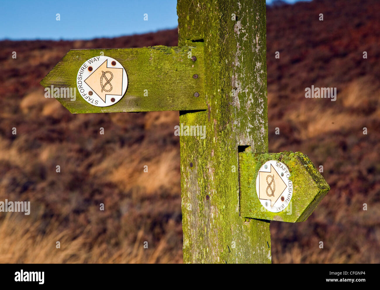 Cannock Chase Country Park AONB (area of outstanding natural beauty) in ...