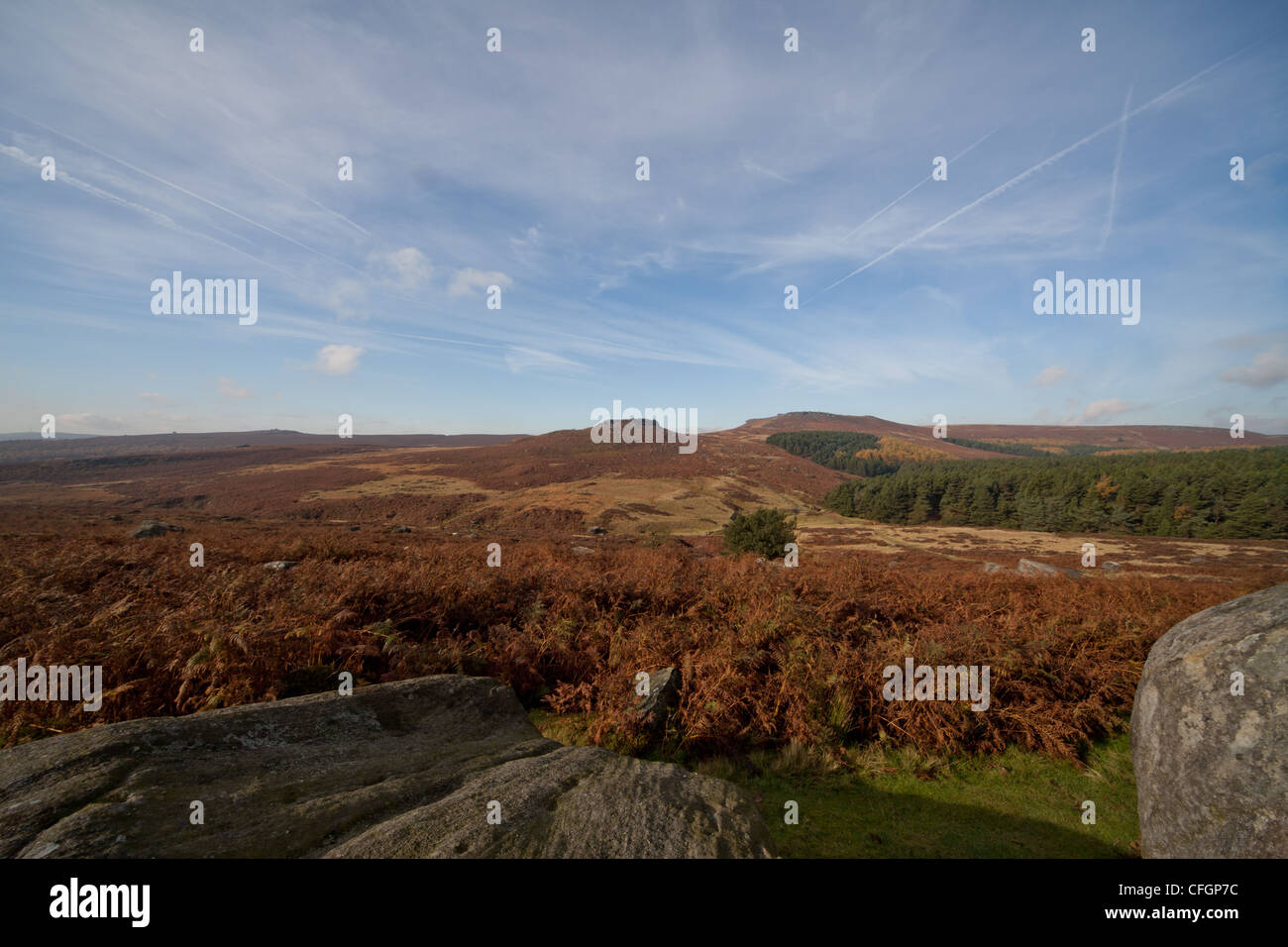 Heather carl wark hi-res stock photography and images - Alamy