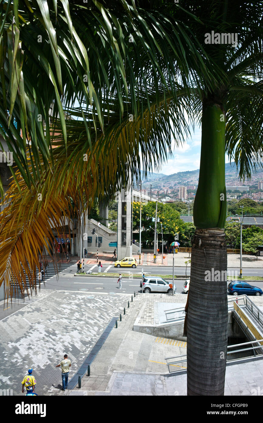 Tree street medellin colombia hi-res stock photography and images - Alamy