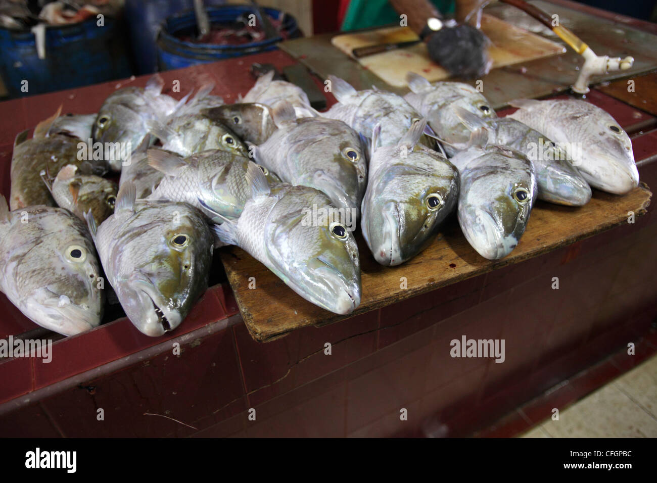 The fish market, Male, Maldives Stock Photo - Alamy