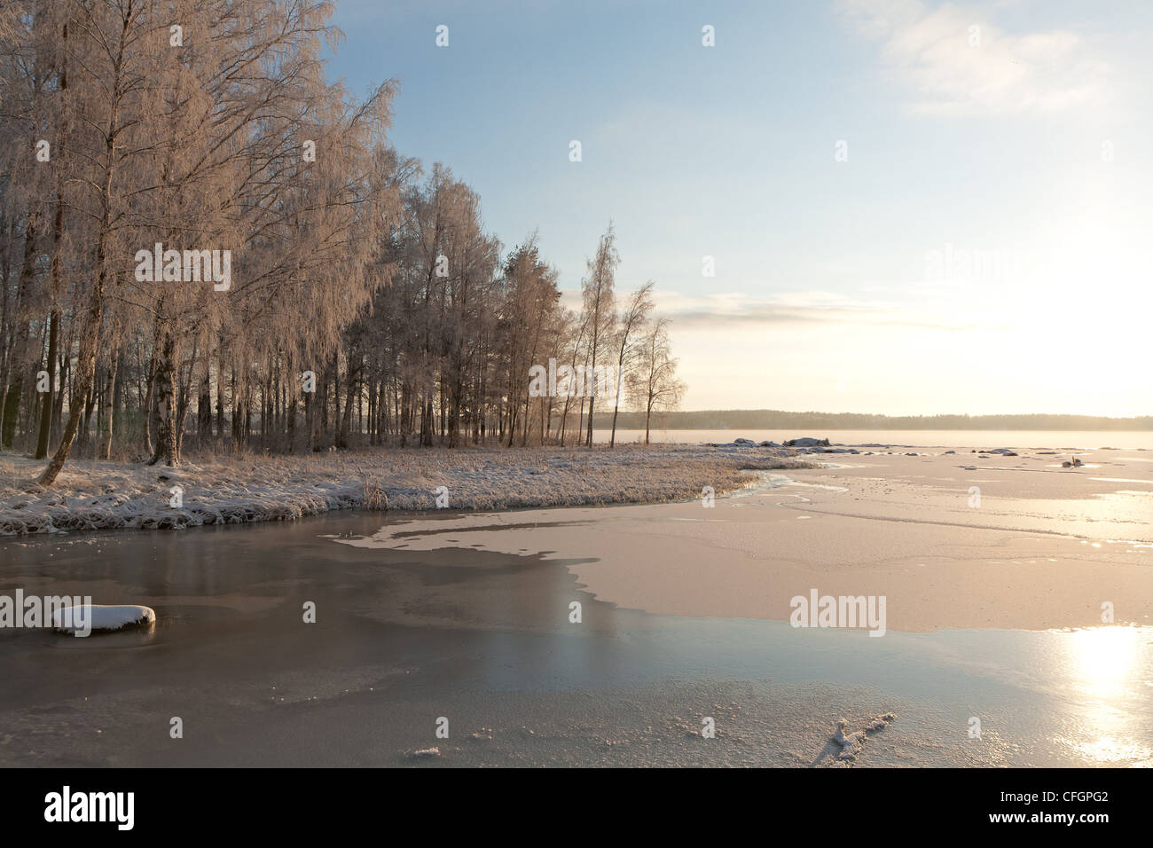 Frosty winter day ice hi-res stock photography and images - Alamy