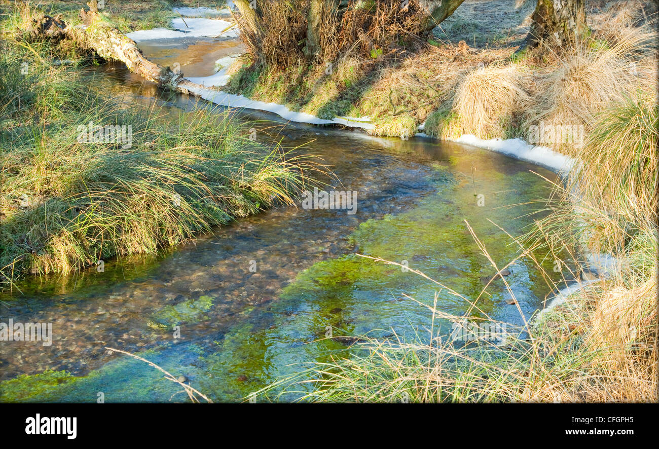 Sherbrook Valley mid-winter Cannock Chase Country Park AONB (area of ...