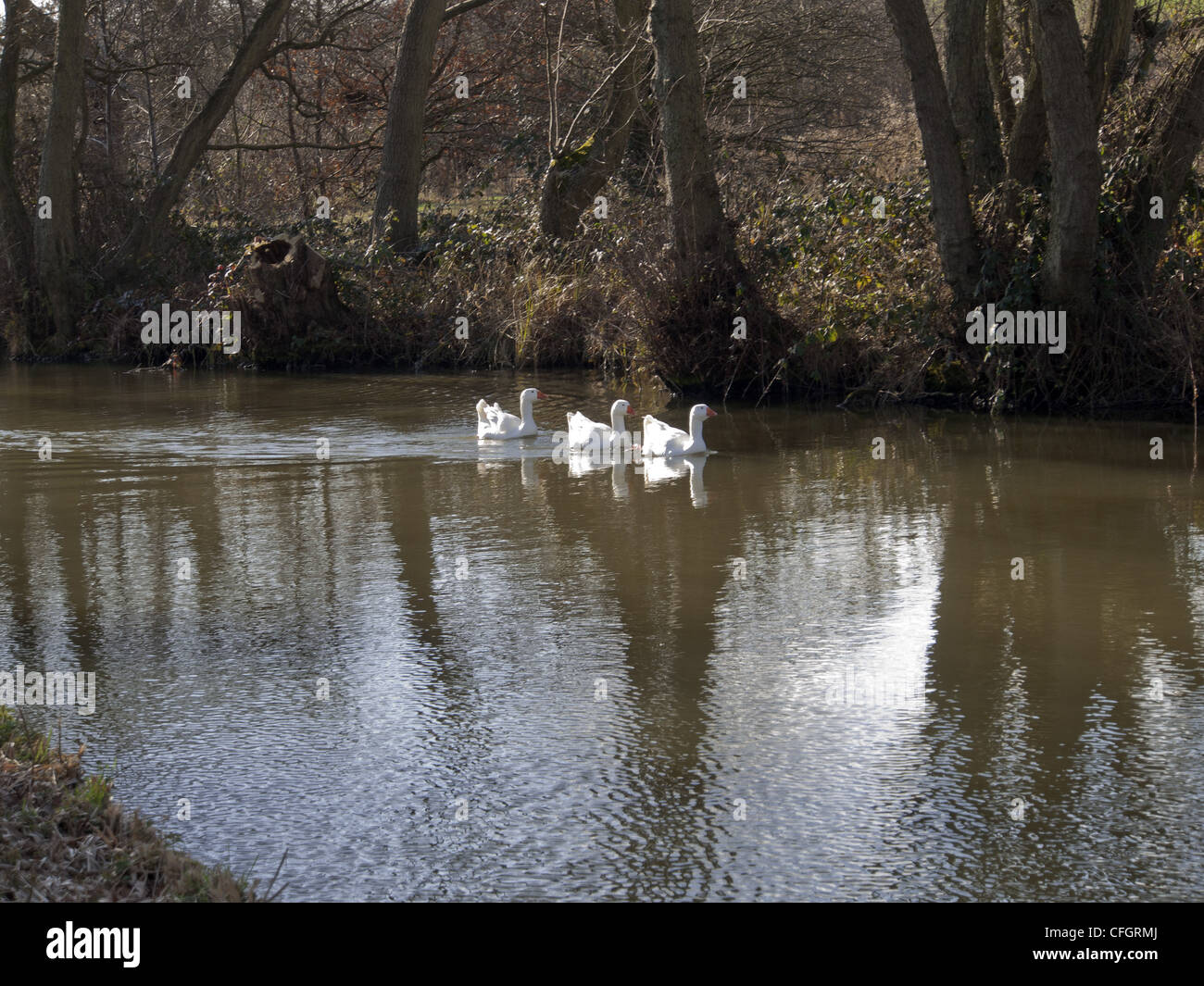 canal england uk inland waterway waterways waterway water river ...