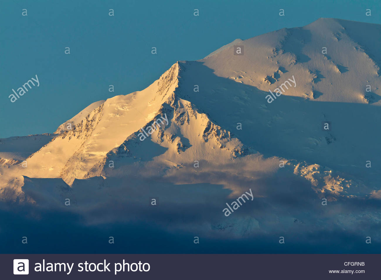 Golden light at sunrise on Pioneer Ridge on Mount McKinley Stock Photo ...