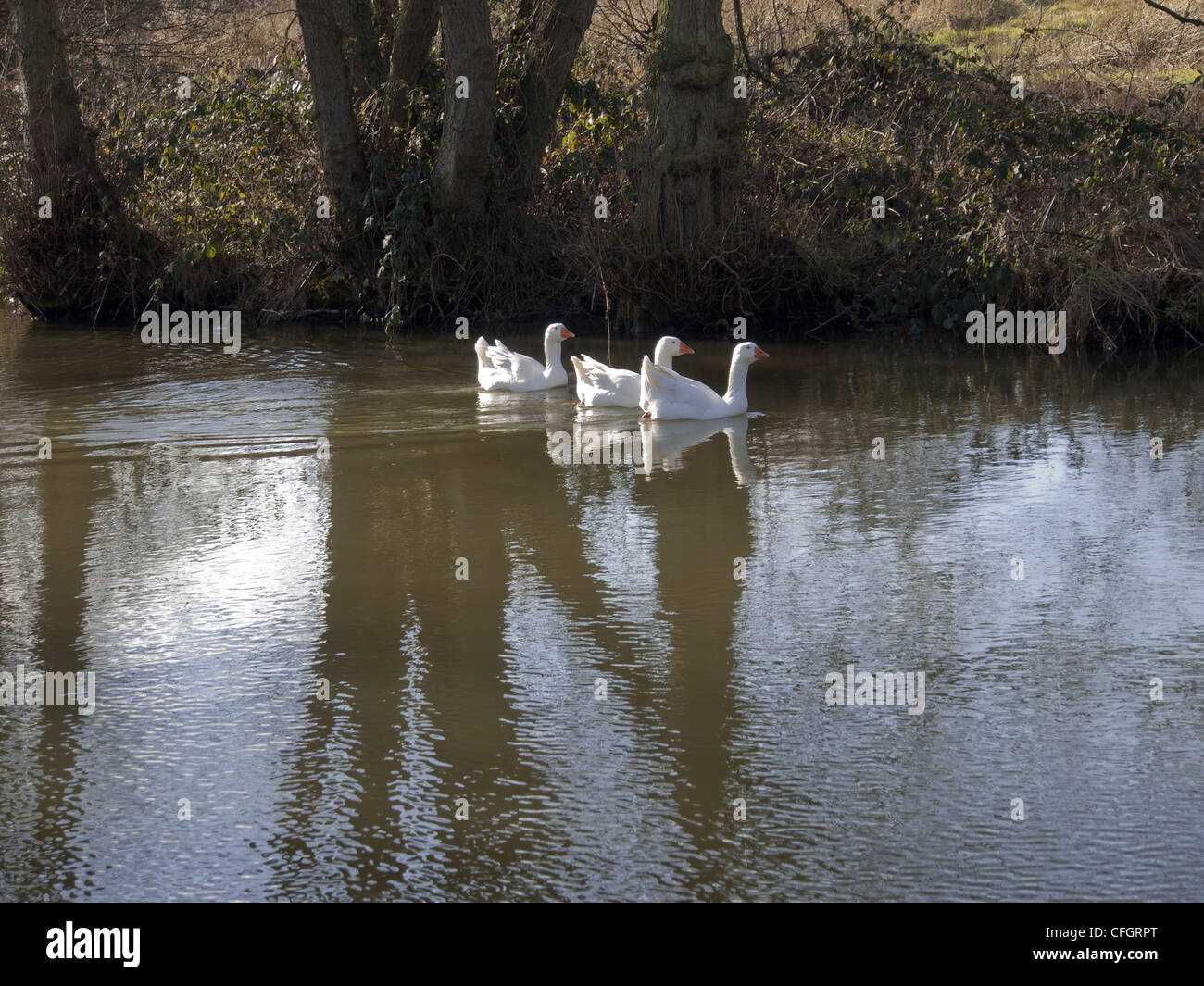 canal england uk inland waterway waterways waterway water river ...