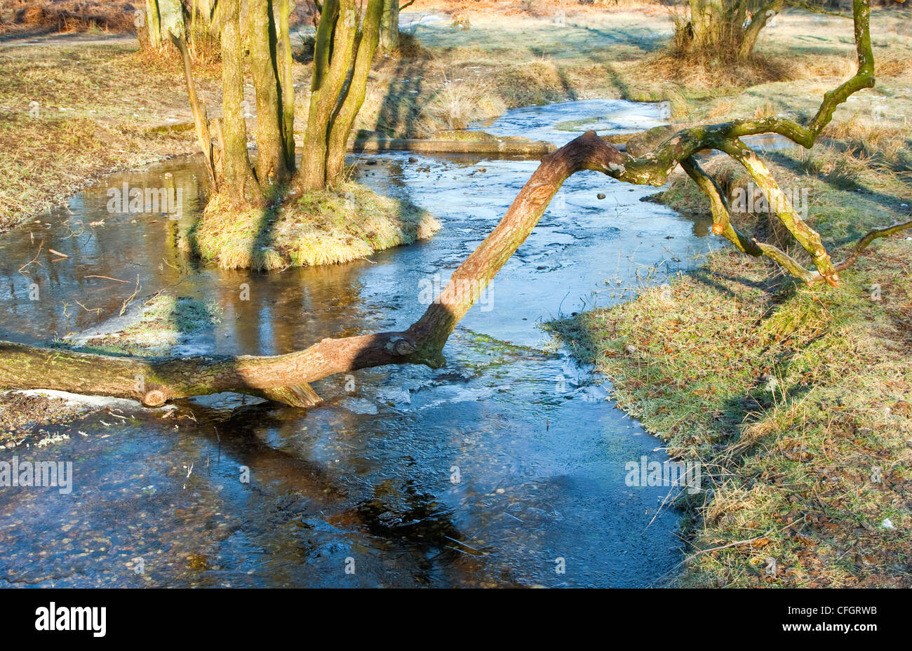 Sher Brook, Sherbrook Valley, Cannock Chase AONB (area of outstanding ...