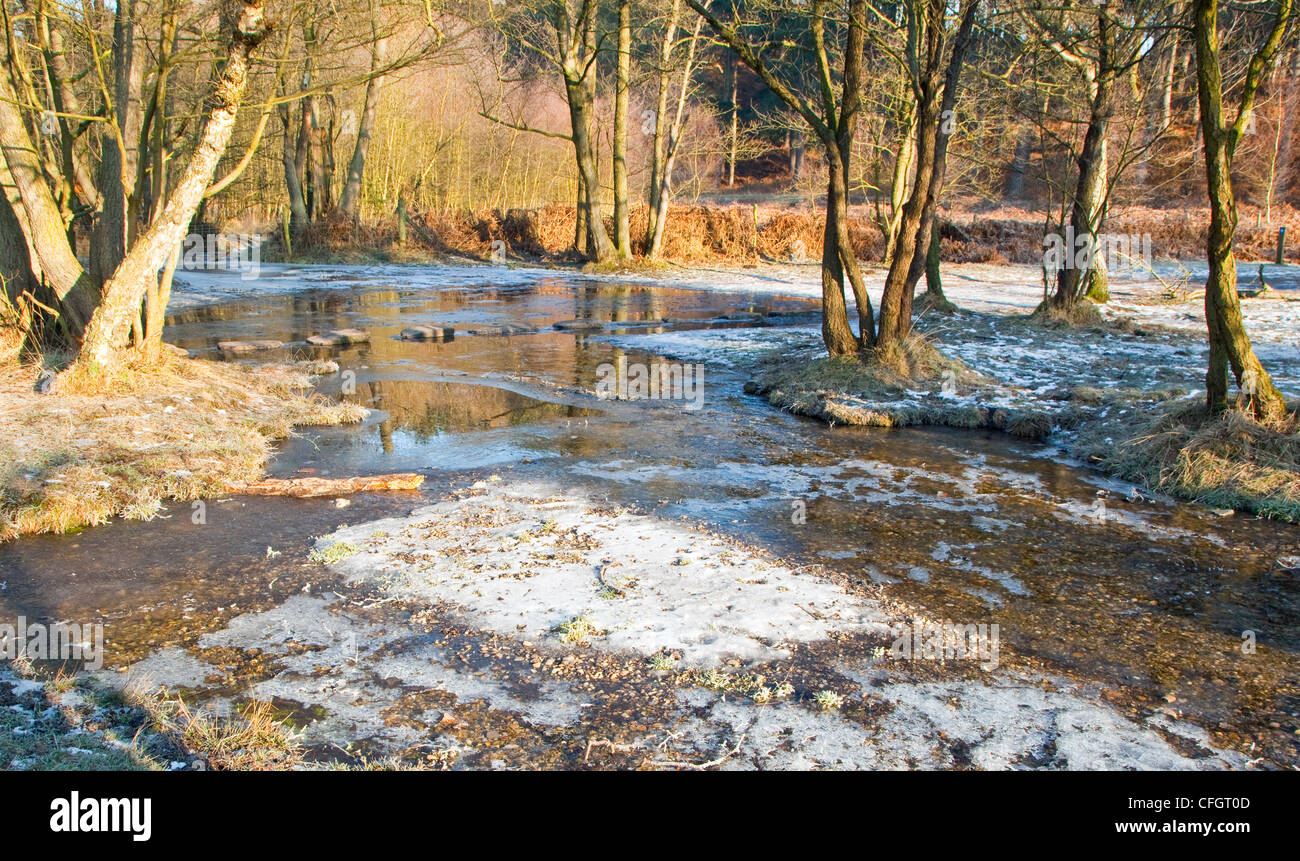 Sherbrook Valley Cannock Chase High Resolution Stock Photography and ...