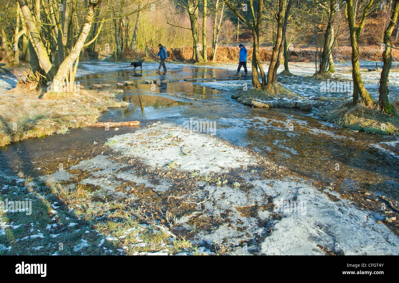 Walkers at Stepping Stones, Sher Brook, Sherbrook Valley, Cannock Chase ...