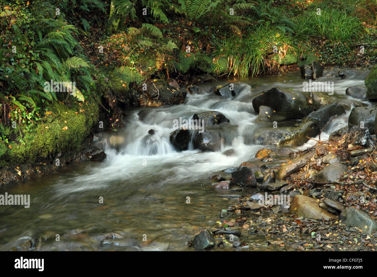 Welsh mountain Stream - Gwynedd, Wales Stock Photo - Alamy