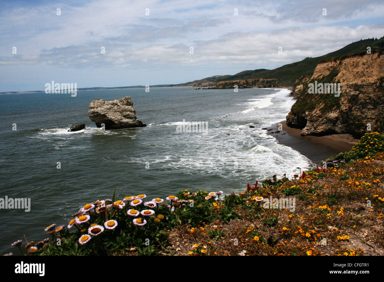 Point Reyes coast Stock Photo - Alamy