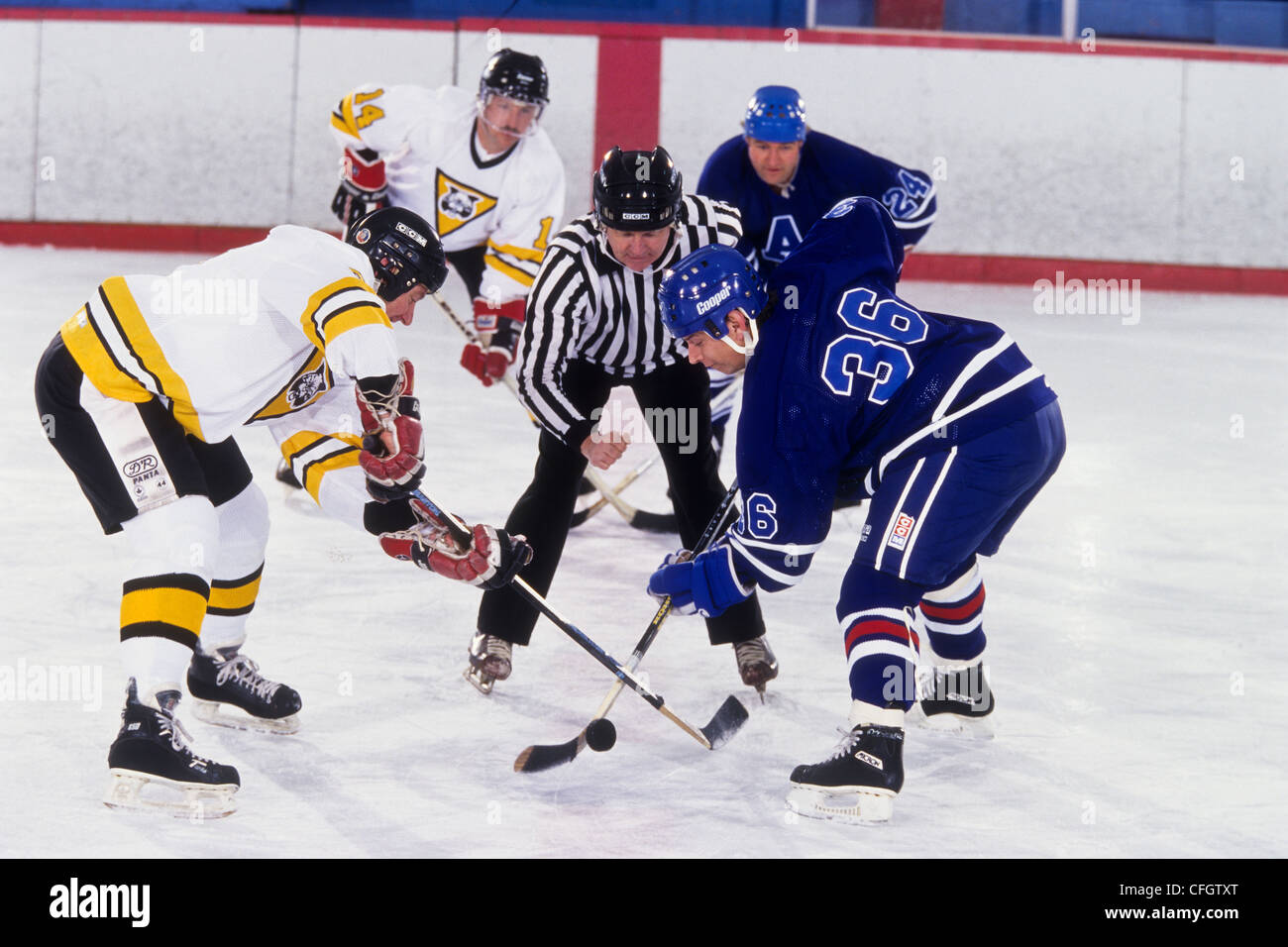 Ice hockey face off Stock Photo - Alamy