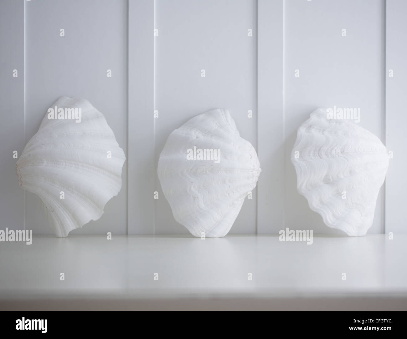 Clam shells hi-res stock photography and images - Alamy