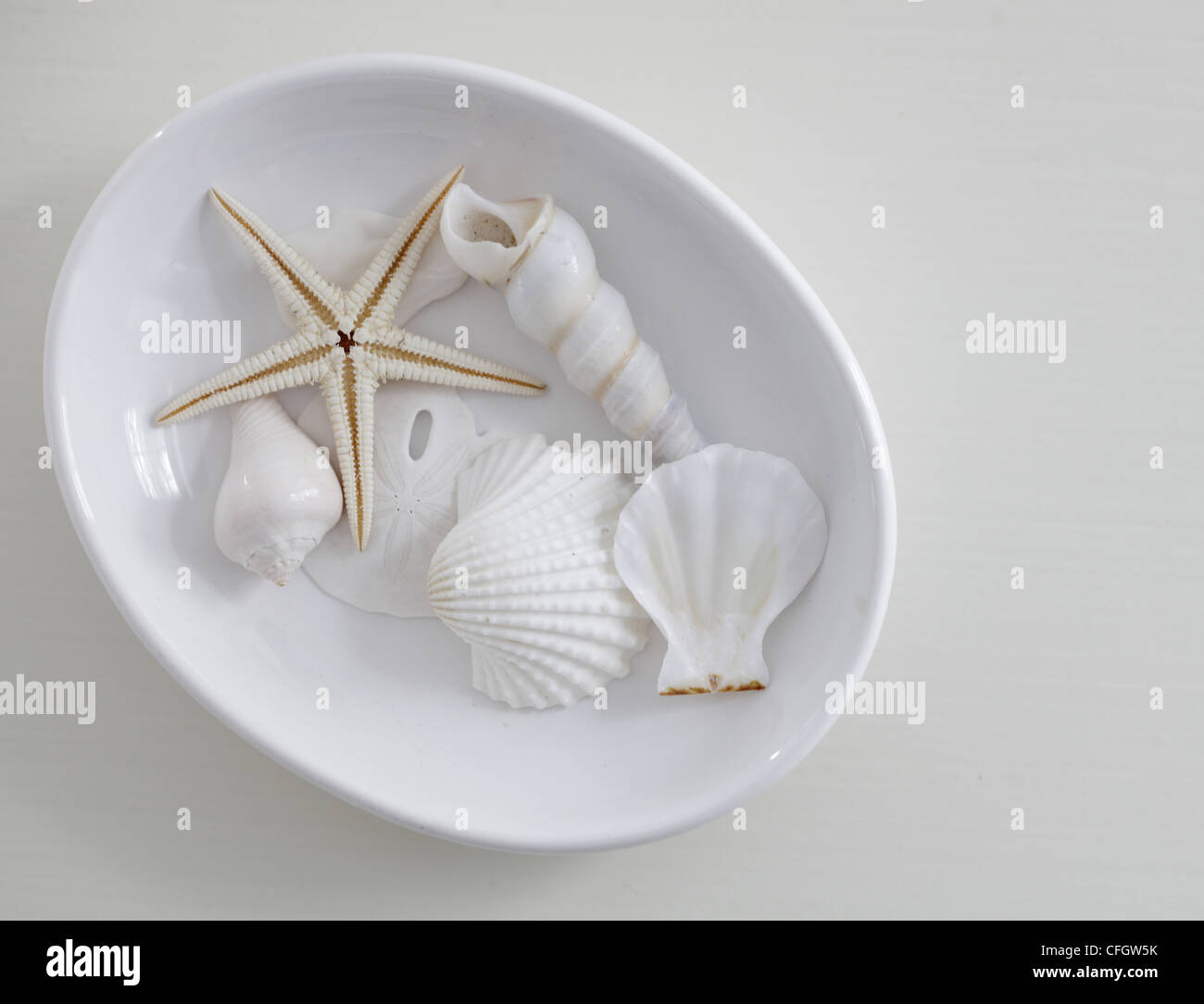 Shells: Coastal Still Life Stock Photo - Alamy