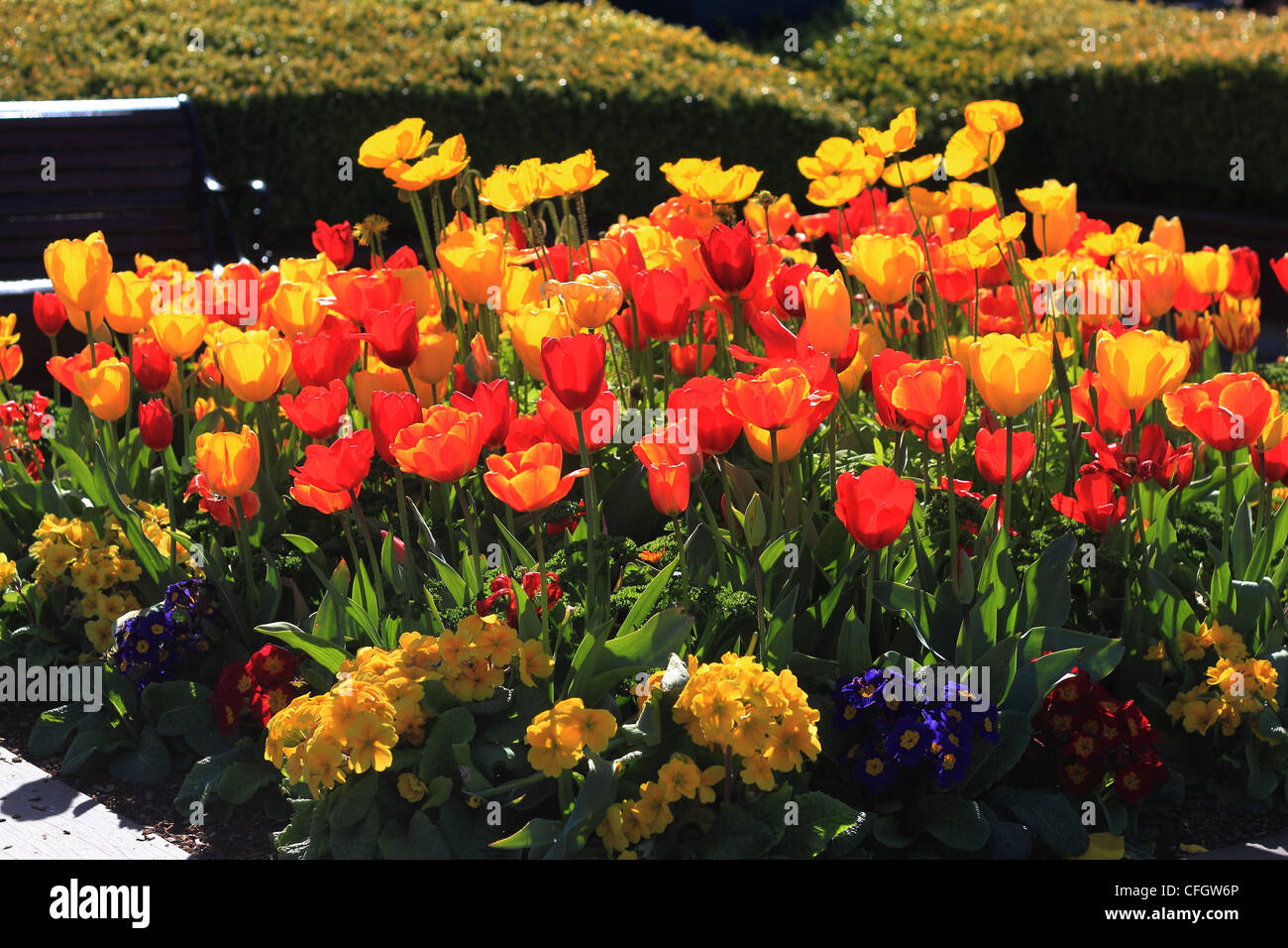 Potato point beach hi-res stock photography and images - Alamy