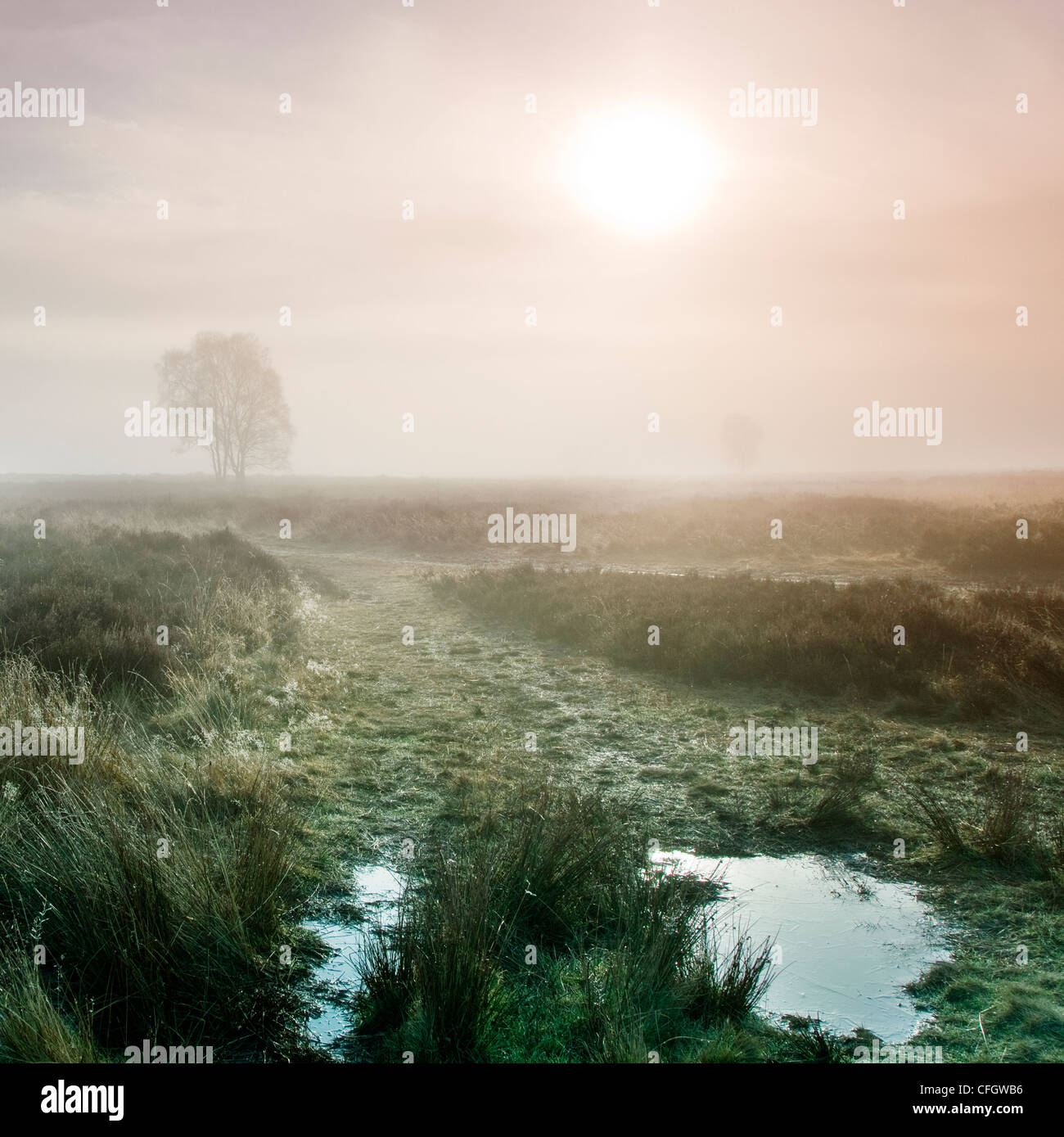 Winter Stock Photos & Images from Alamy